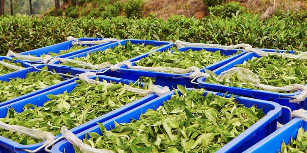 FF_P.transit_tab_1200x600_26Mar_001 | Fairfirst Insurance