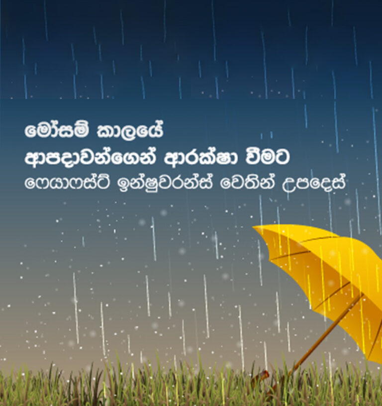 Monsoon-Si-800×850 | Fairfirst Insurance